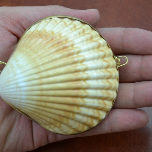 Pearlized RIVER Sea SHELL Pill TRINKET Box Coin Purse - Etsy