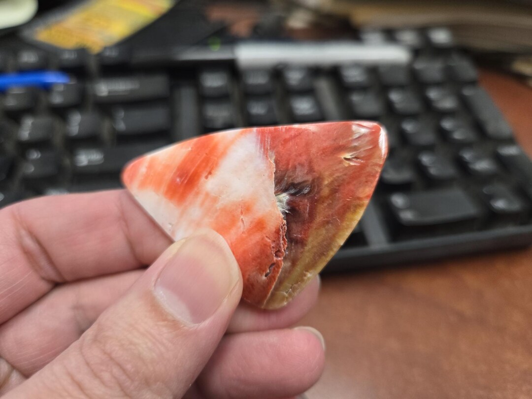 Red Polished SPINY OYSTER Shell 2" - Etsy