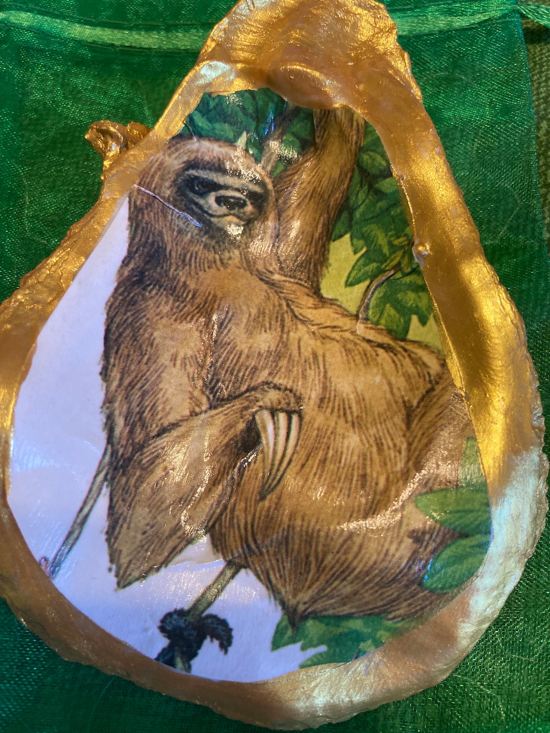 Sloth Zoo Oyster Shell Jewelry Dish Rainforest Jungle for Animal Lover ...