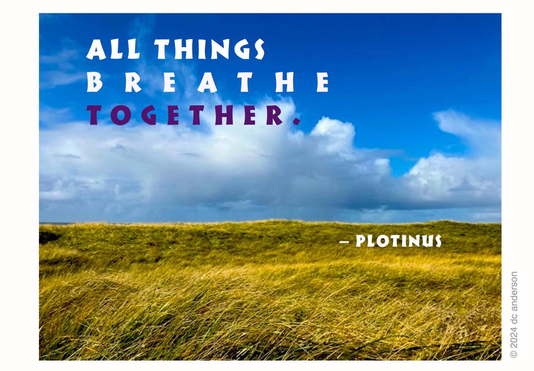 Card A023 All Things Breathe Together -- Plotinus - Etsy