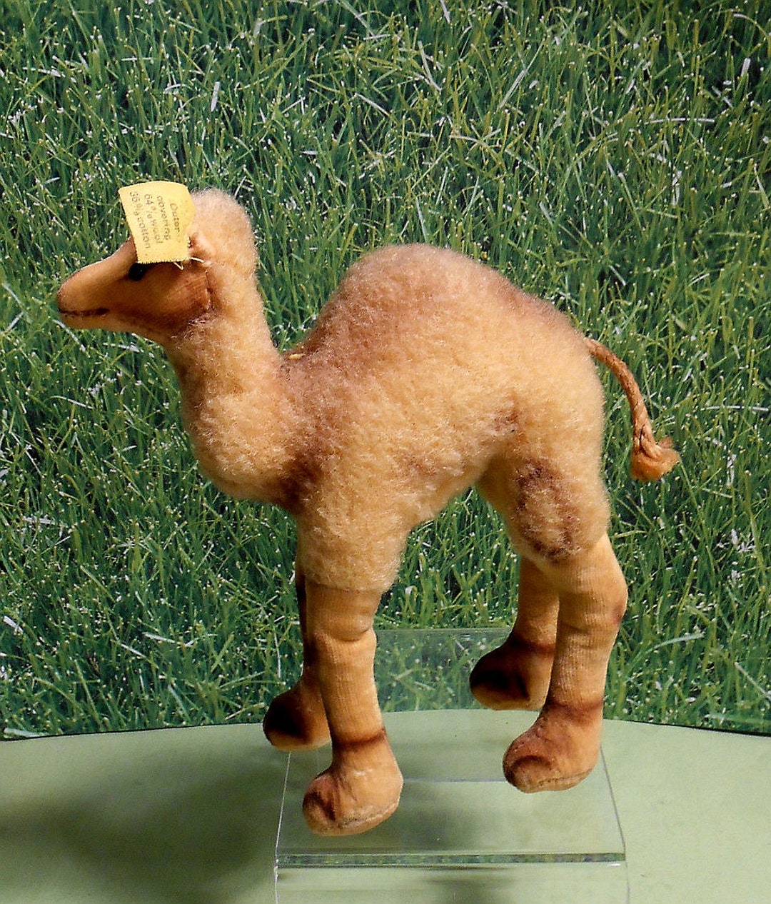 Vintage Steiff 5 3/4 Camel Germany, With Id's - Etsy