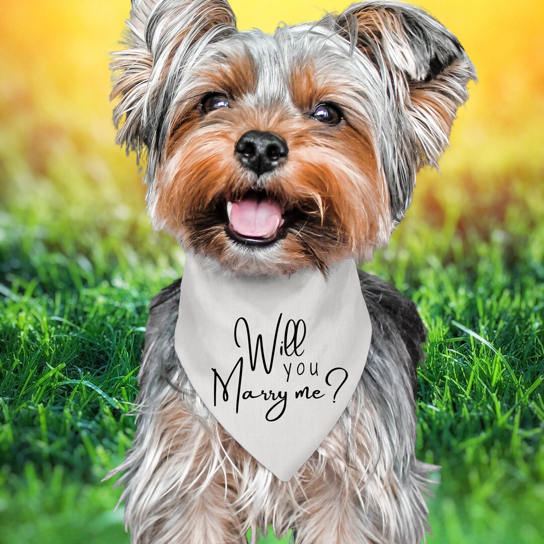 MARRIAGE PROPOSAL BANDANA Wedding Dog Bandana Marry Me - Etsy