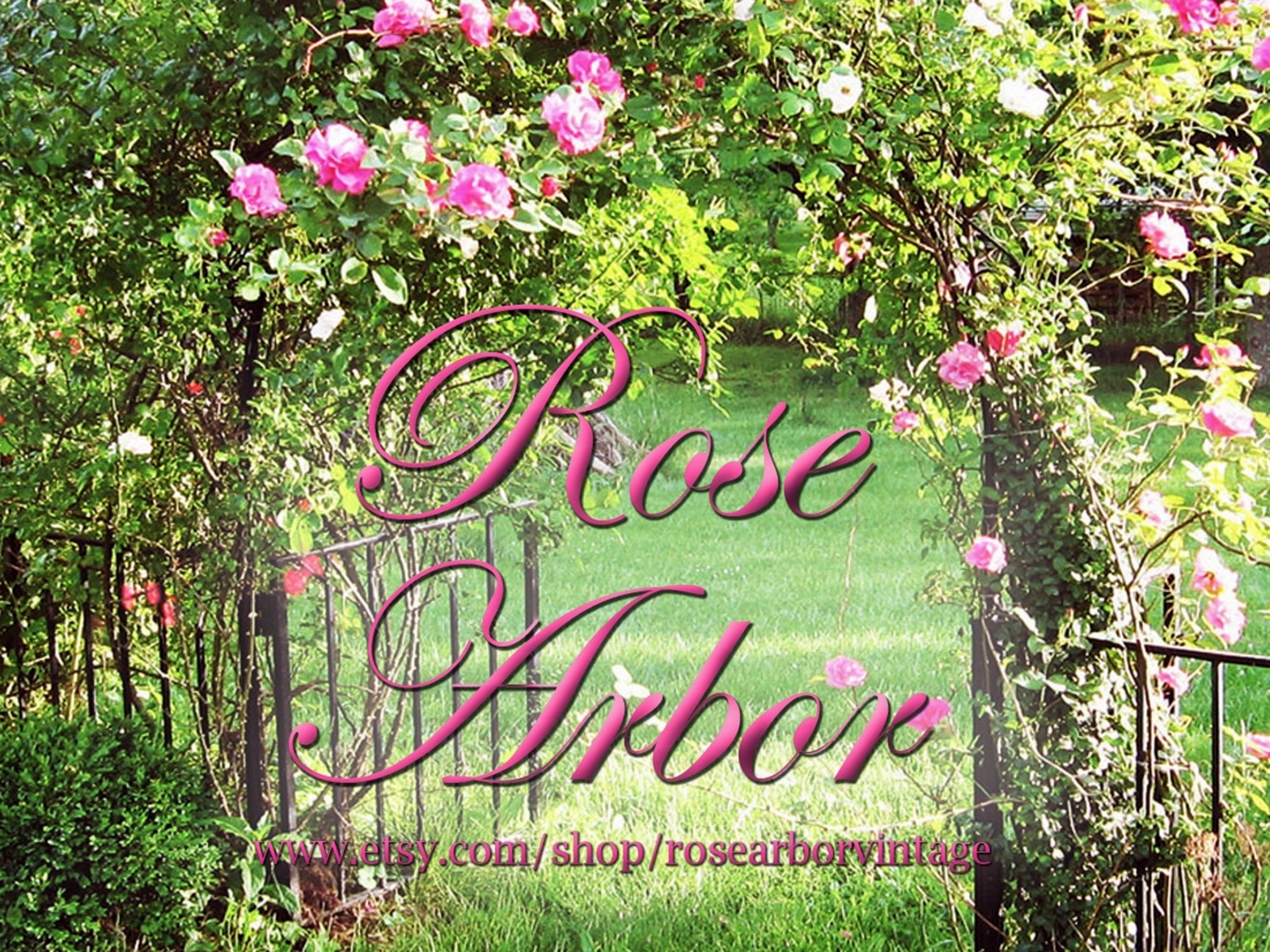 Rose Collection Plate by Boehm the Royal Highness Rose Pink | Etsy