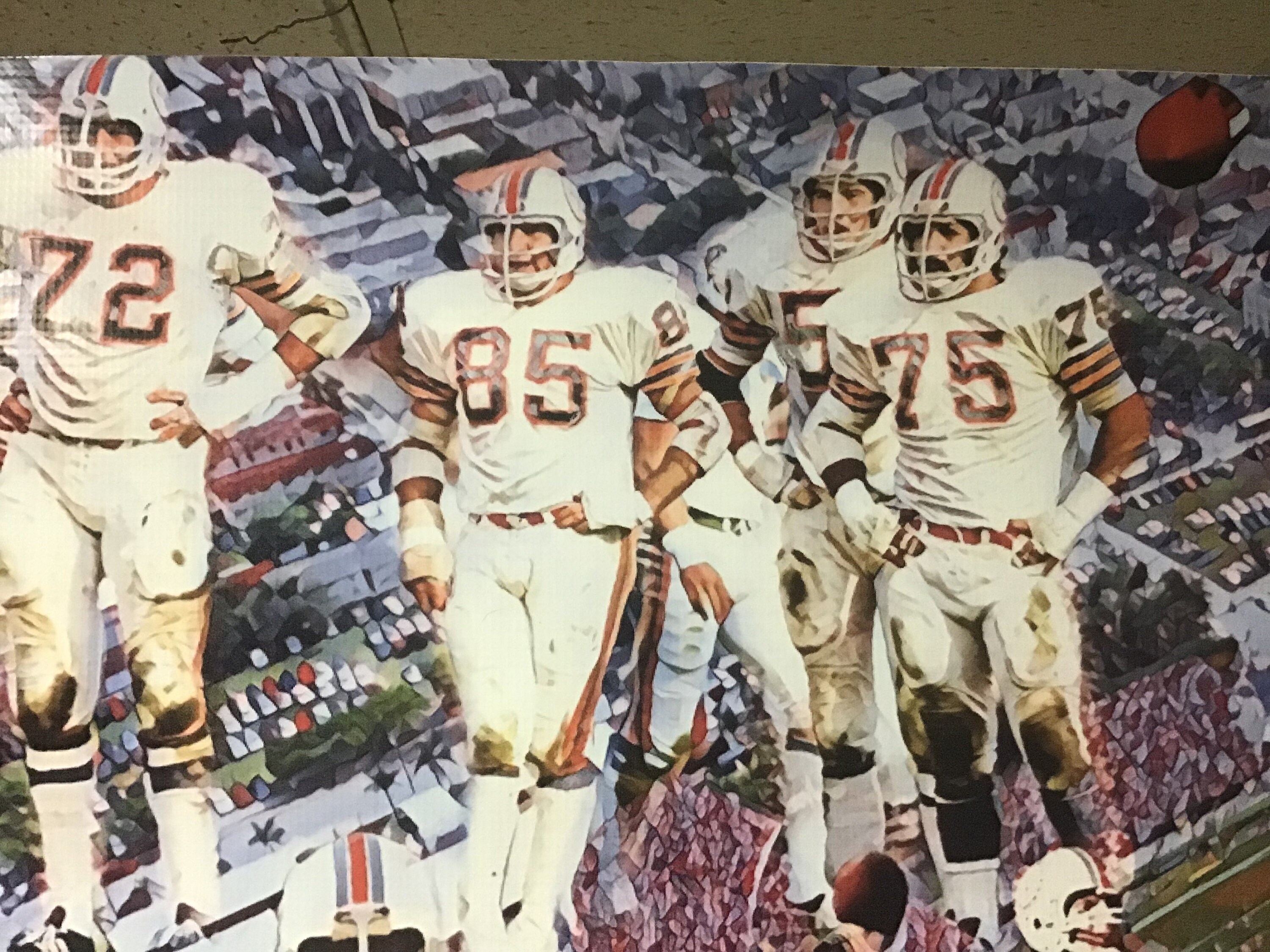 Huge 44x30 DAN MARINO Vinyl Banner Poster Miami Dolphins Don - Etsy UK