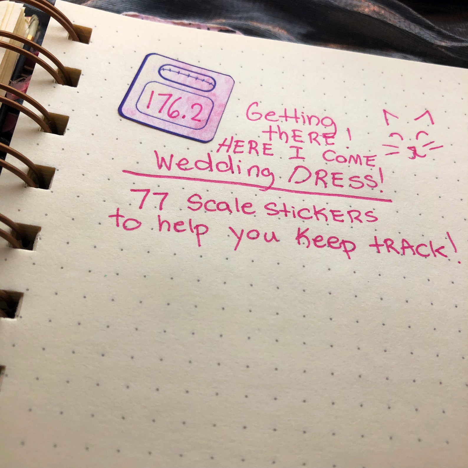 Digital Download | Watercolor Scale Weight Tracker Stickers - Etsy