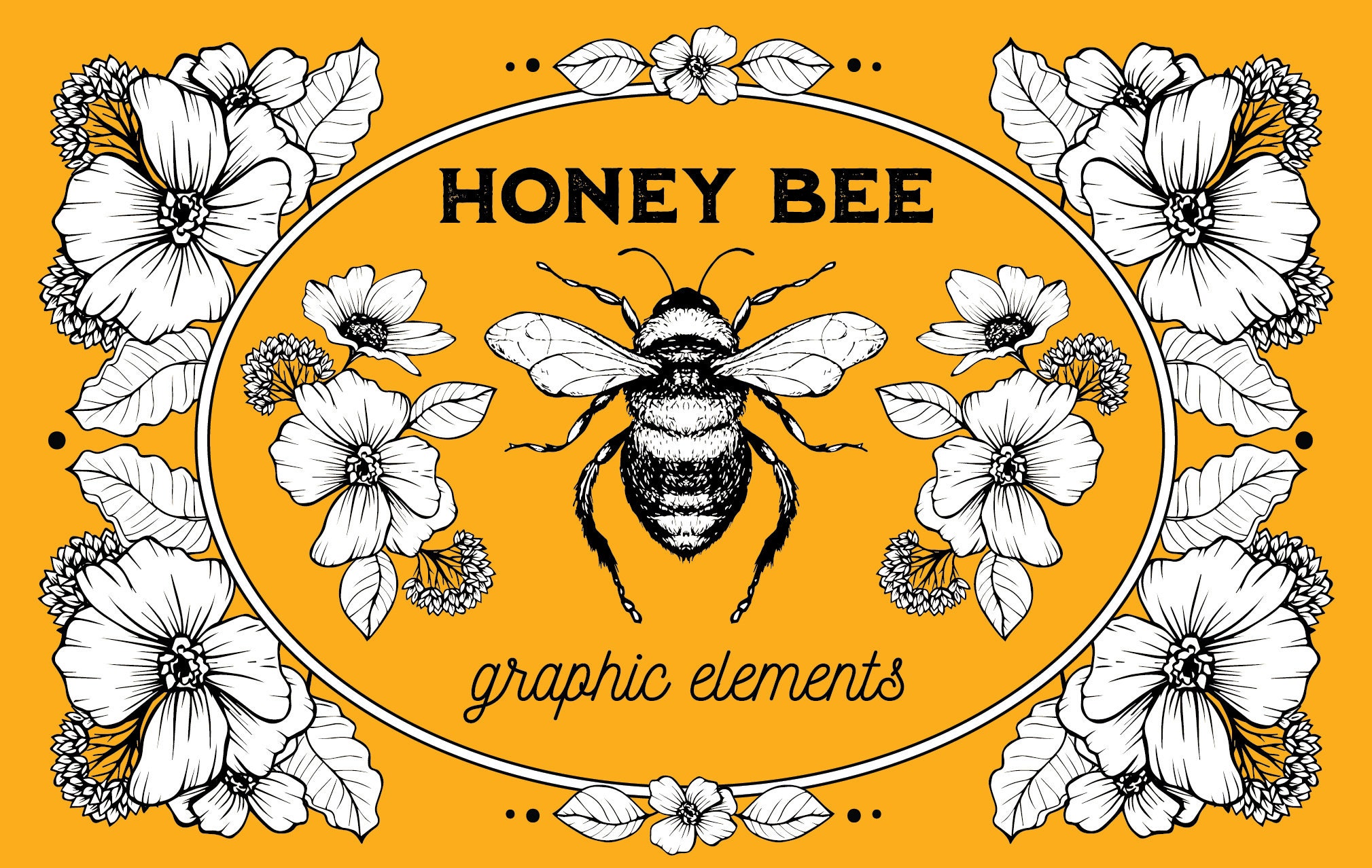 Vintage Honey Bee Graphic