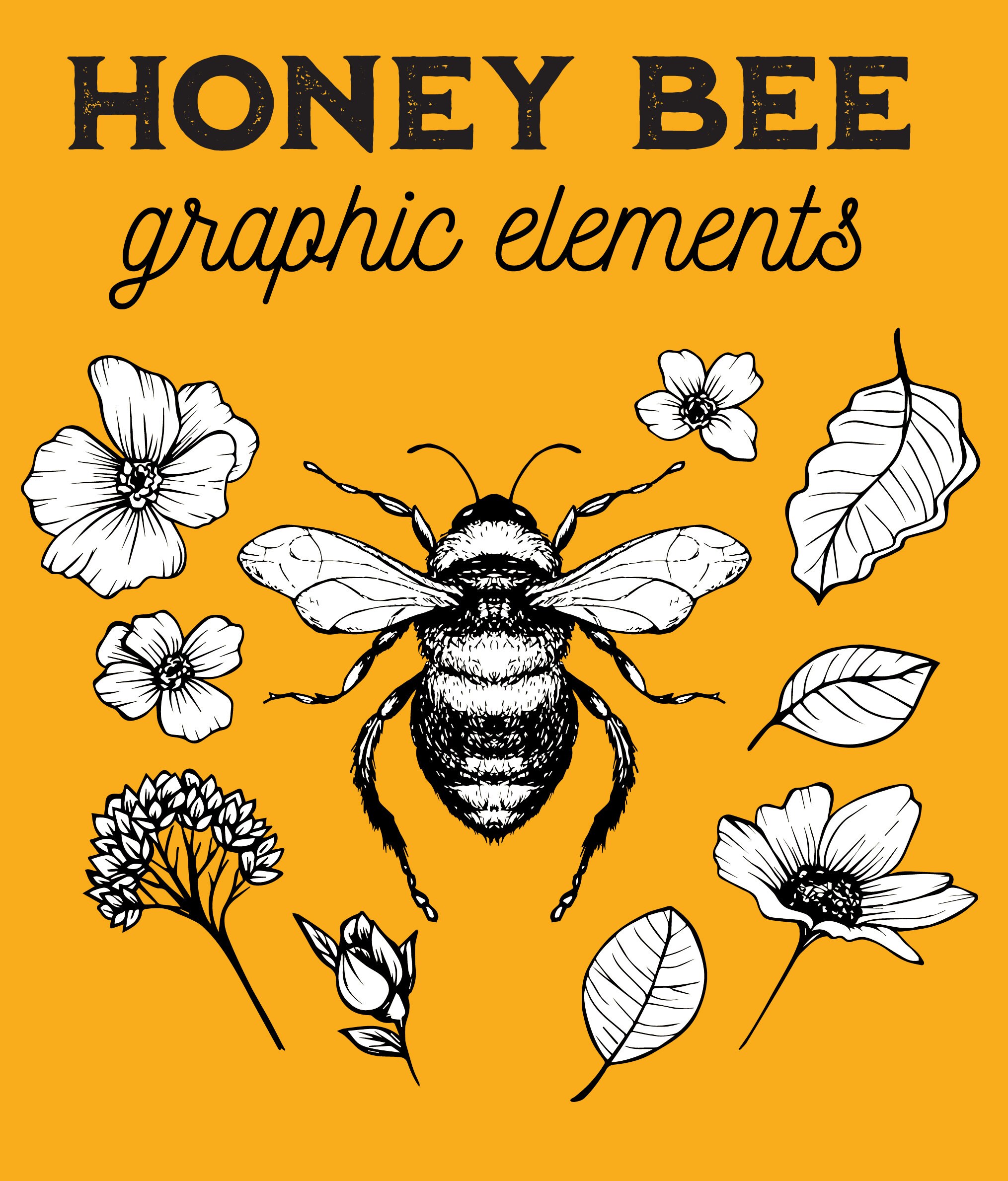 Honey Bee Clipart, Vintage Bee, Graphics, Vector, Flowers, Floral ...