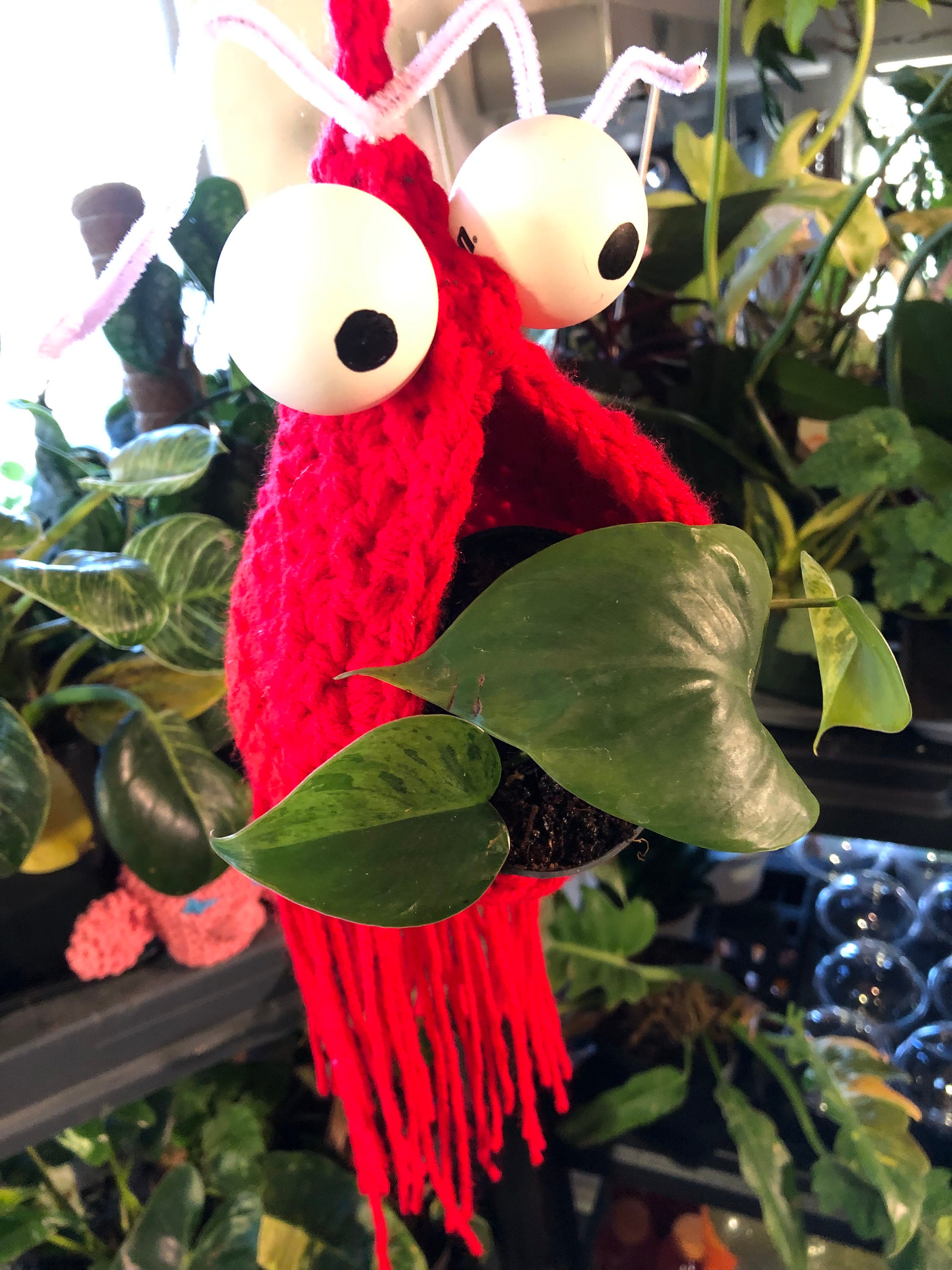 Crochet Pattern Yip Yip Monster Alien Crochet Hanging Basket, Amigurumi Plant Holder, Potted ...