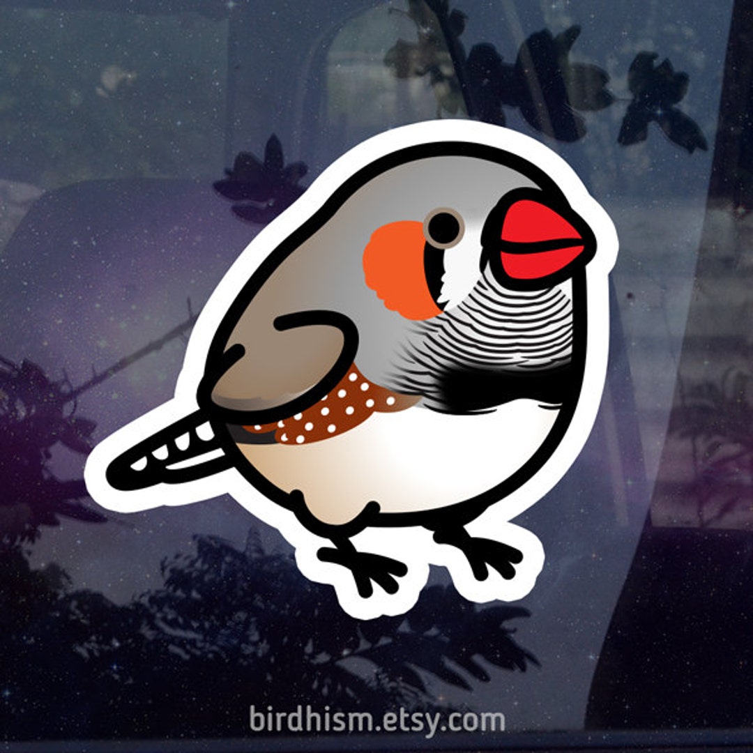 Chubby Finch Stickers outdoor Quality - Etsy