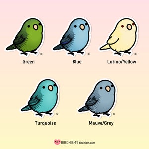 Lineolated Parakeet Stickers outdoor Quality - Etsy