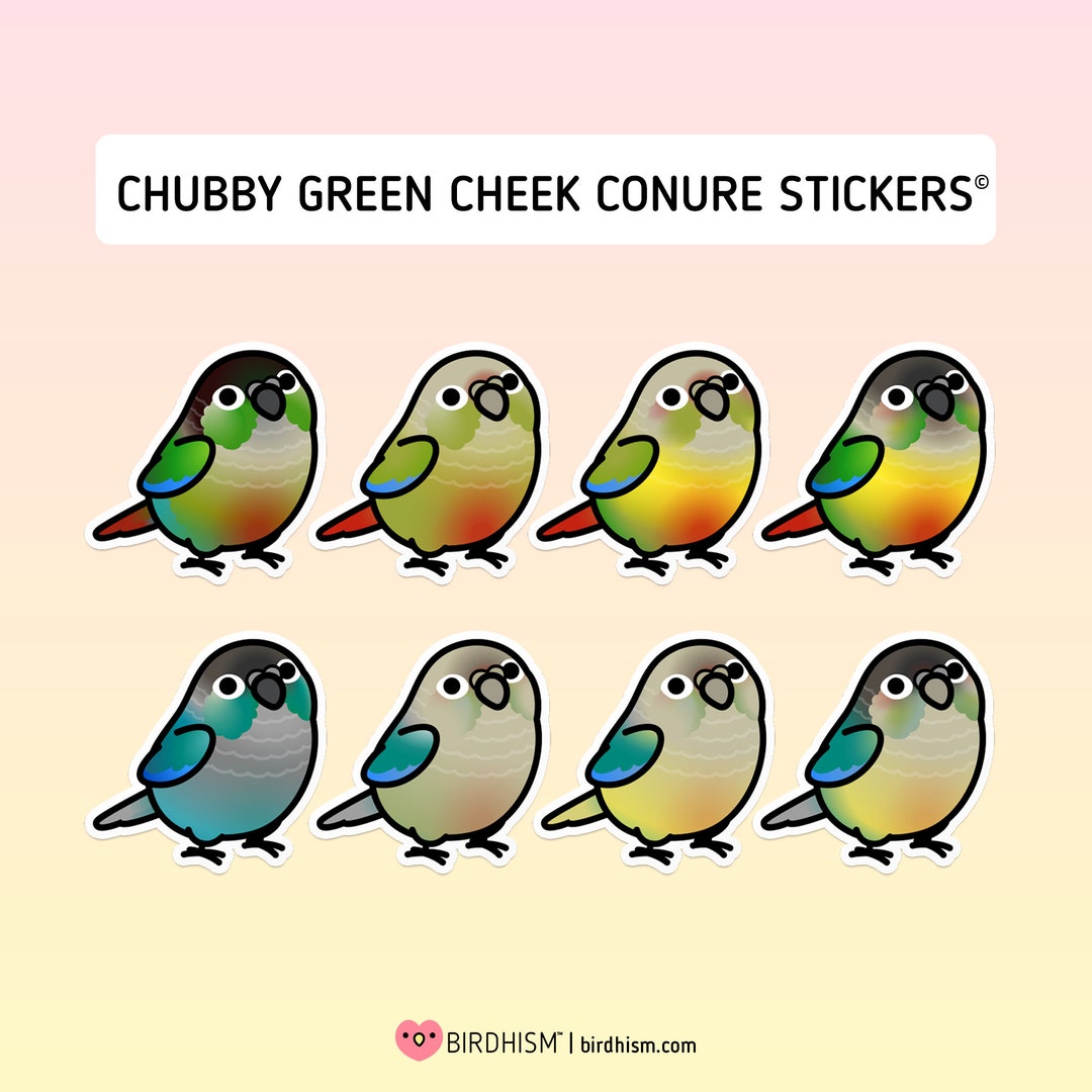 Chubby Green Cheek Conure 3.5 Sticker outdoor Quality - Etsy