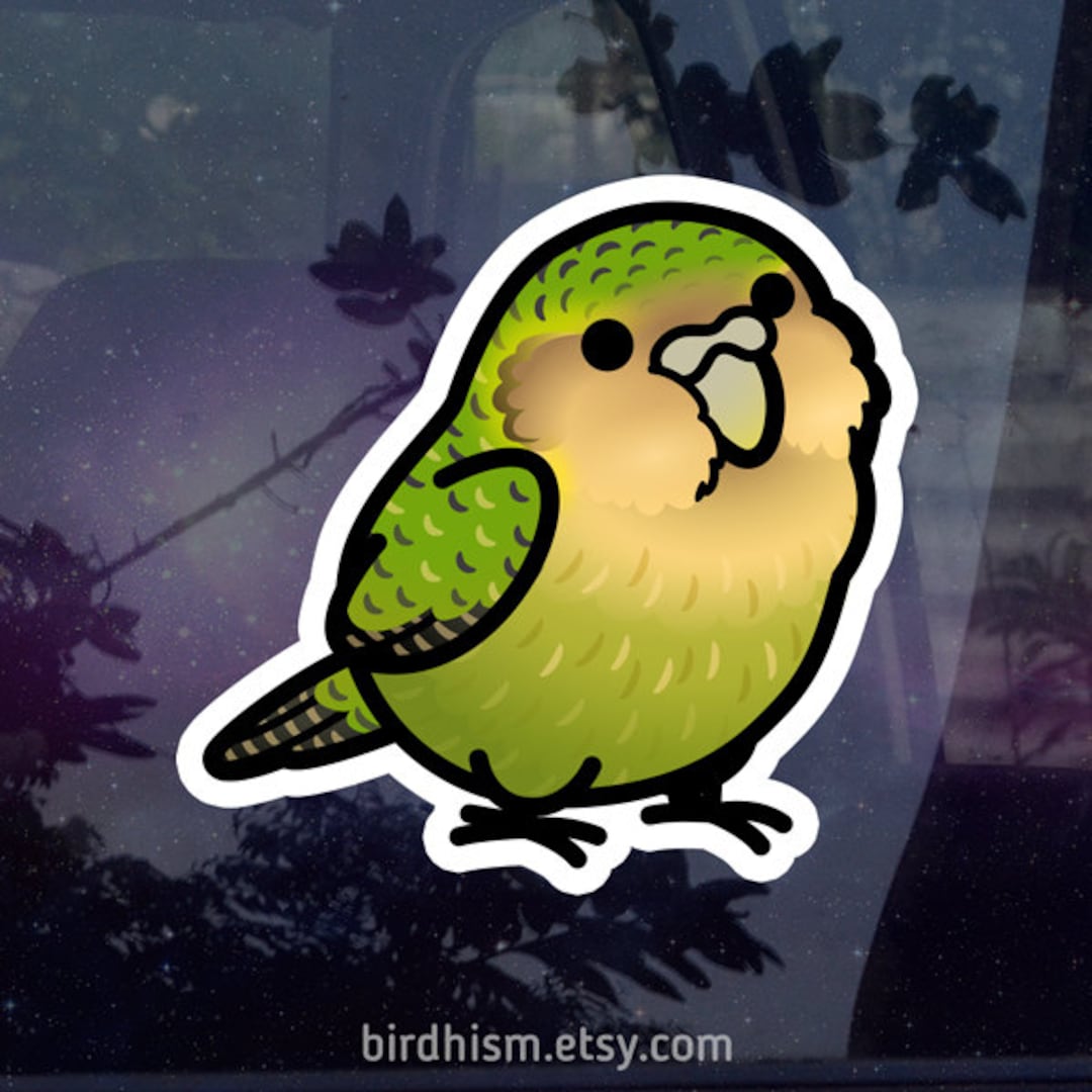 Chubby Kakapo 3.5 Sticker outdoor Quality Charity Listing - Etsy