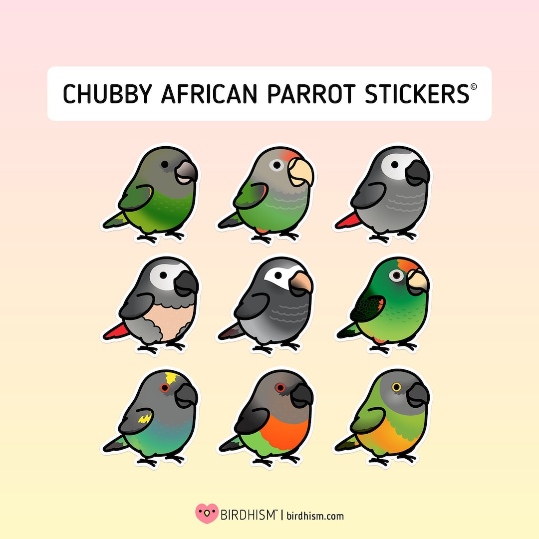 Chubby African Birds 3.5 Sticker outdoor Quality - Etsy