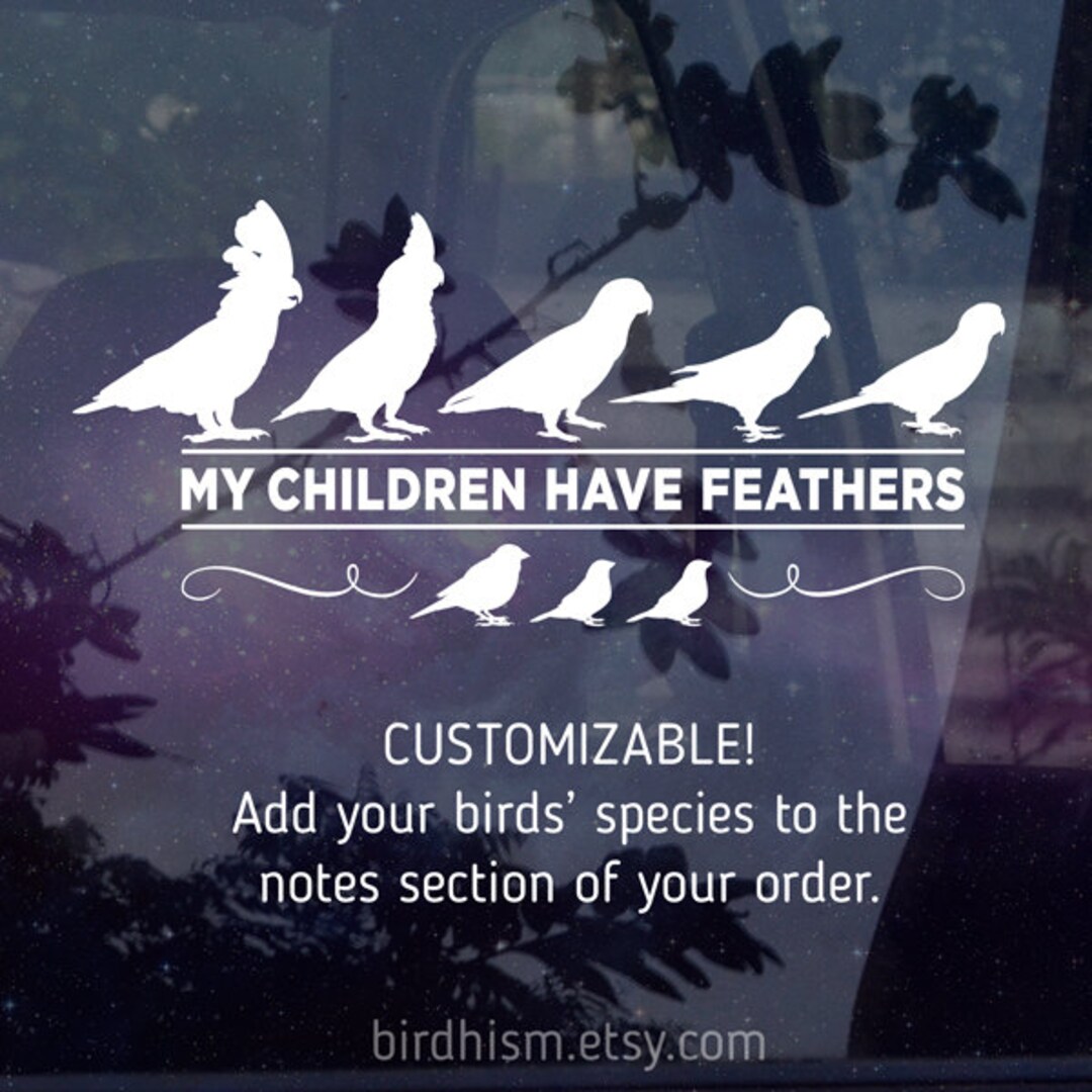 My Children Have Feathers - Vinyl Decal - Etsy