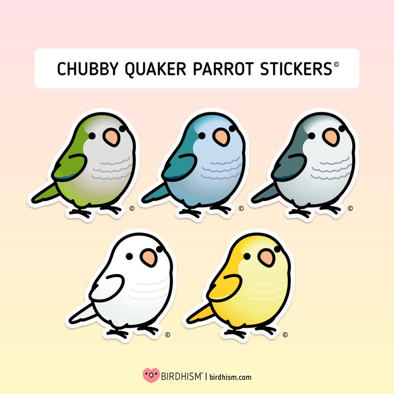 Chubby Quaker Parrot Stickers outdoor Quality - Etsy