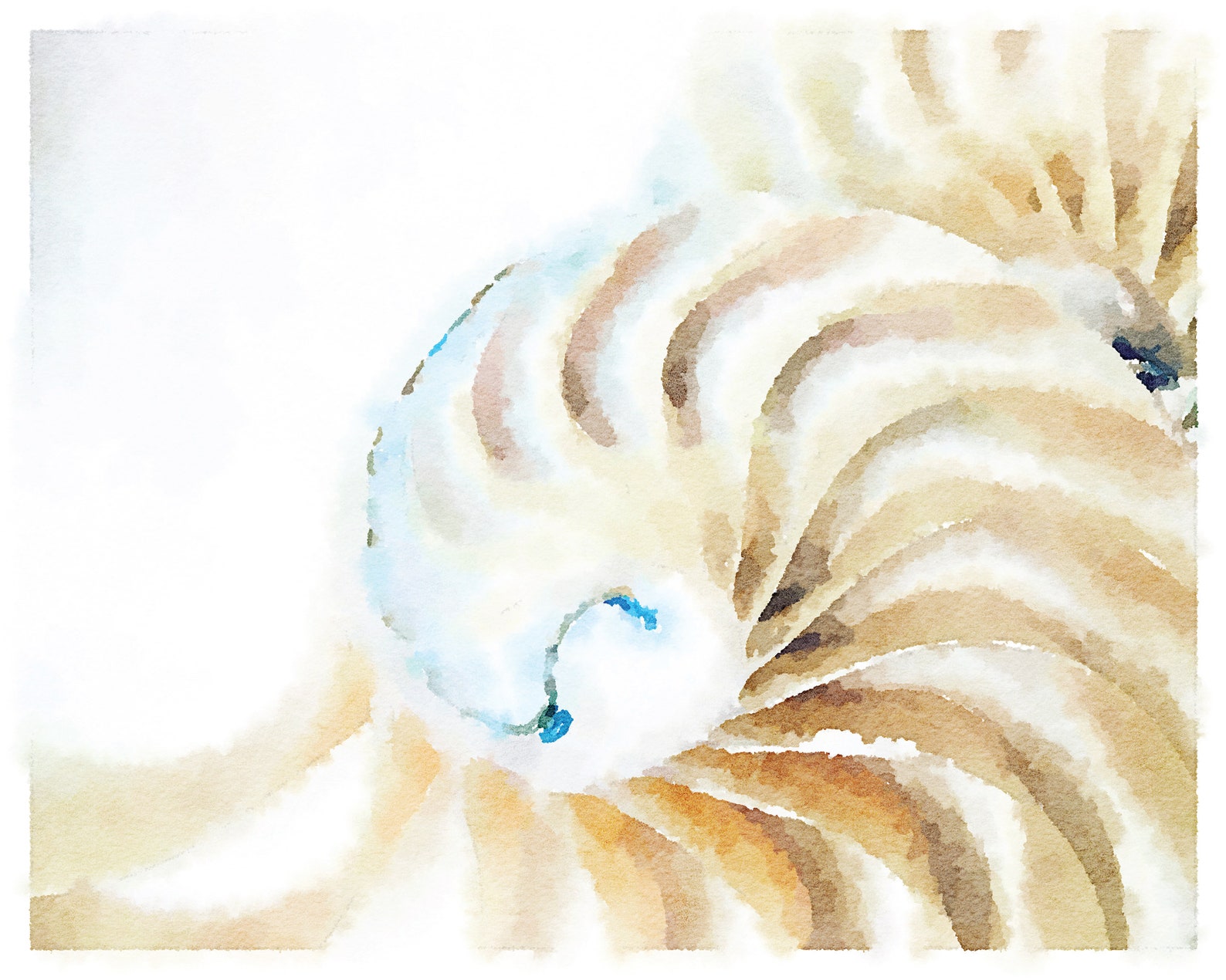 Neutral Abstract Painting Sea Shell Art Watercolor Print Digital ...