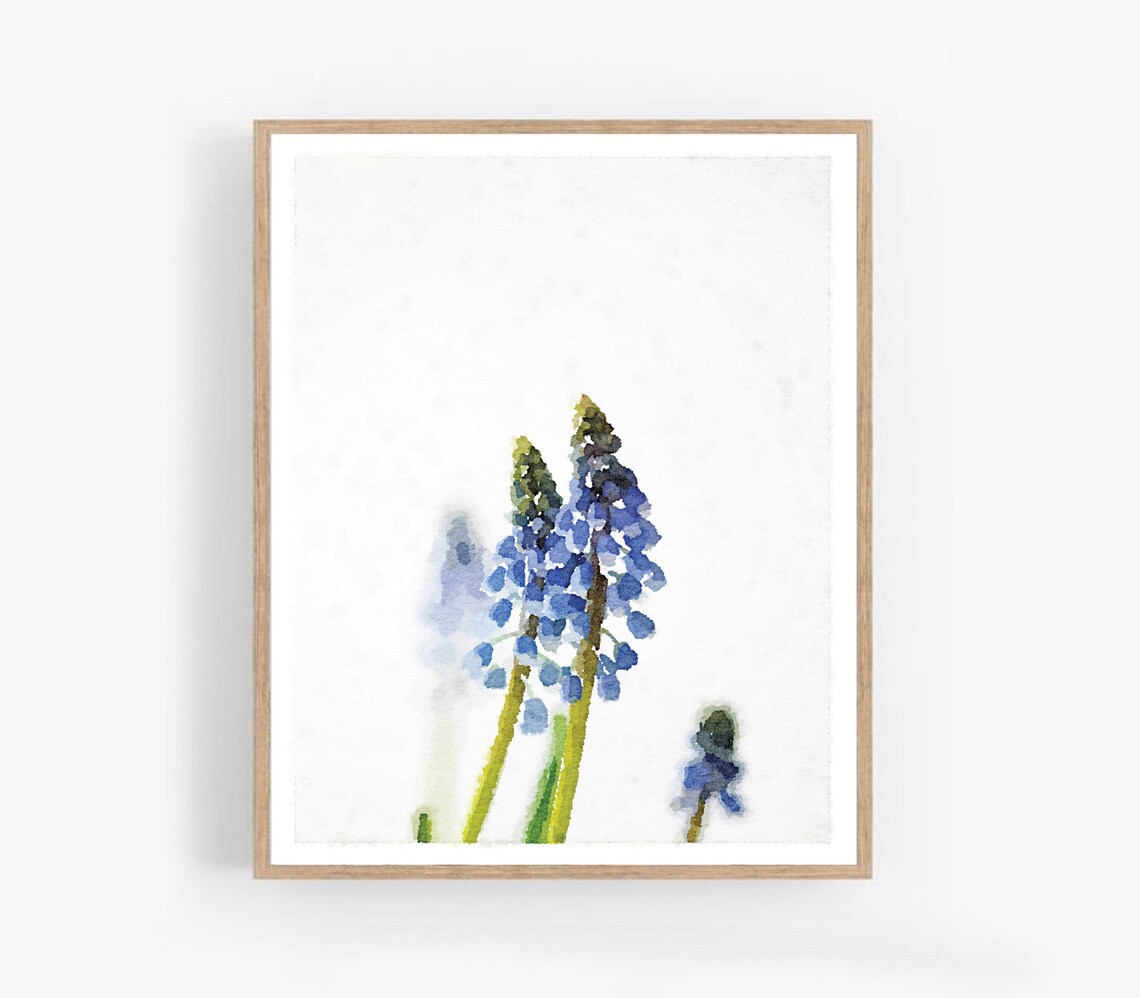 Set of 2 Hyacinth Flower Watercolor Prints Digital Download - Etsy