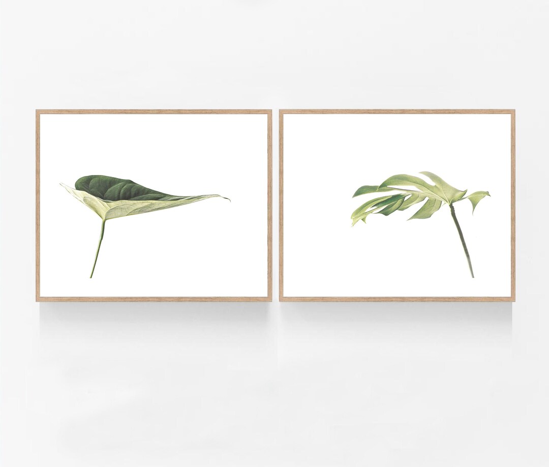 Set of 2 Single Leaf Art Prints, Printable Digital Download, Tropical ...