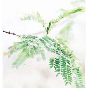 Fern Print Abstract Nature Art Watercolor Painting Digital Printable ...