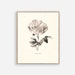 Vintage French Botanical Watercolor Print Set of 2 Digital - Etsy