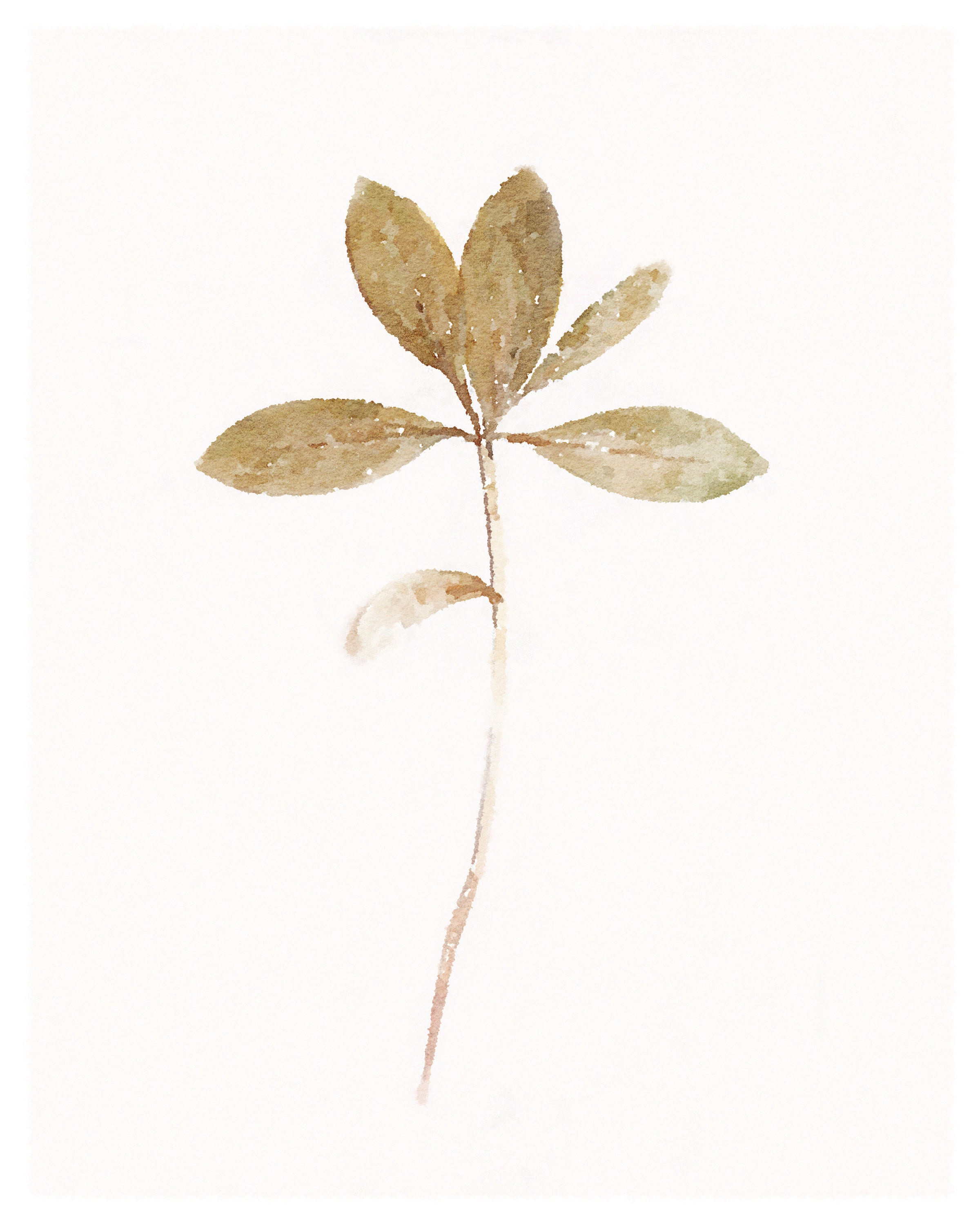 Set of 2 Neutral Botanical Prints Watercolor Wall Art Digital | Etsy