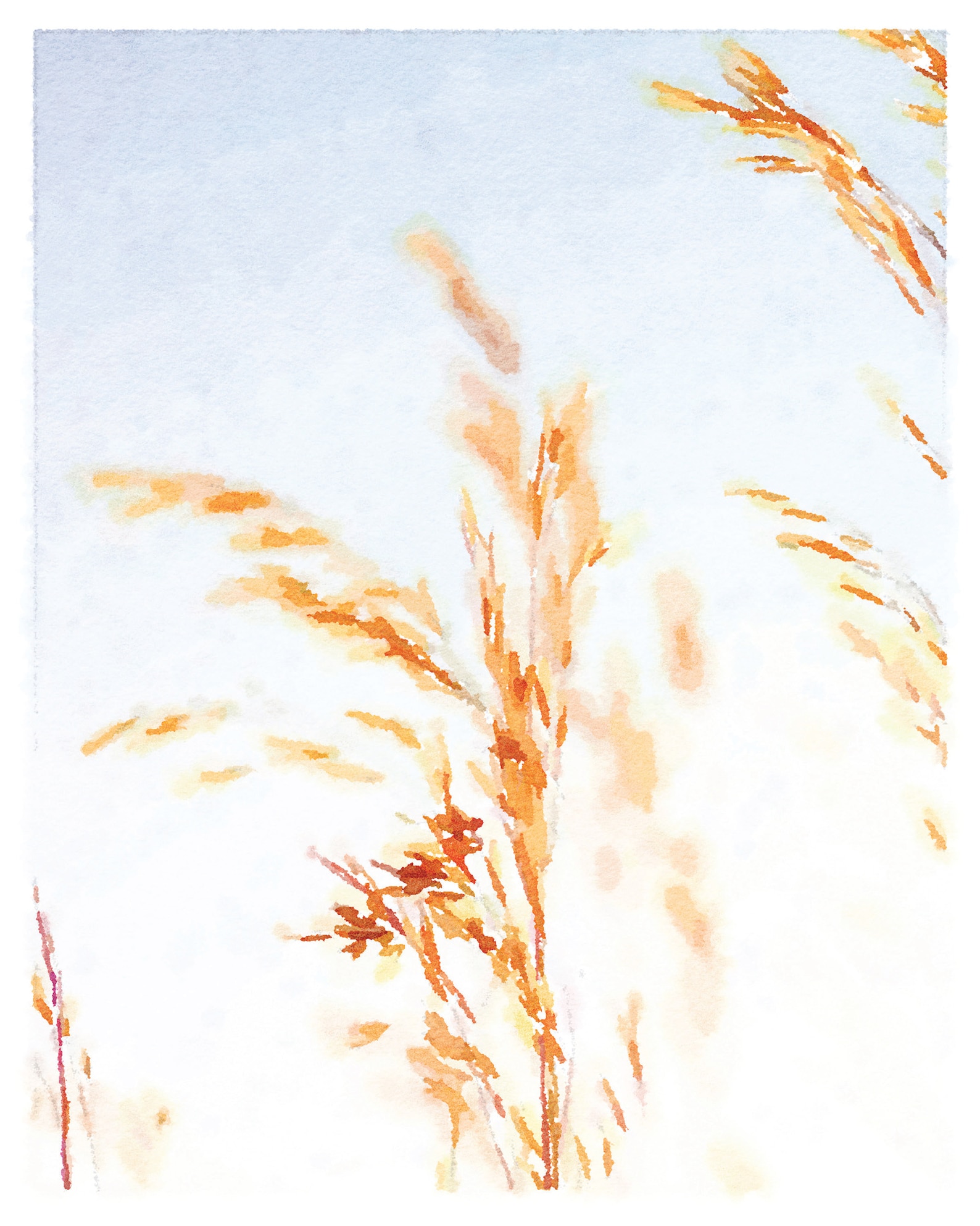 Botanical Print Set of 3 Wheat Grass, Neutral Watercolor Landscape ...