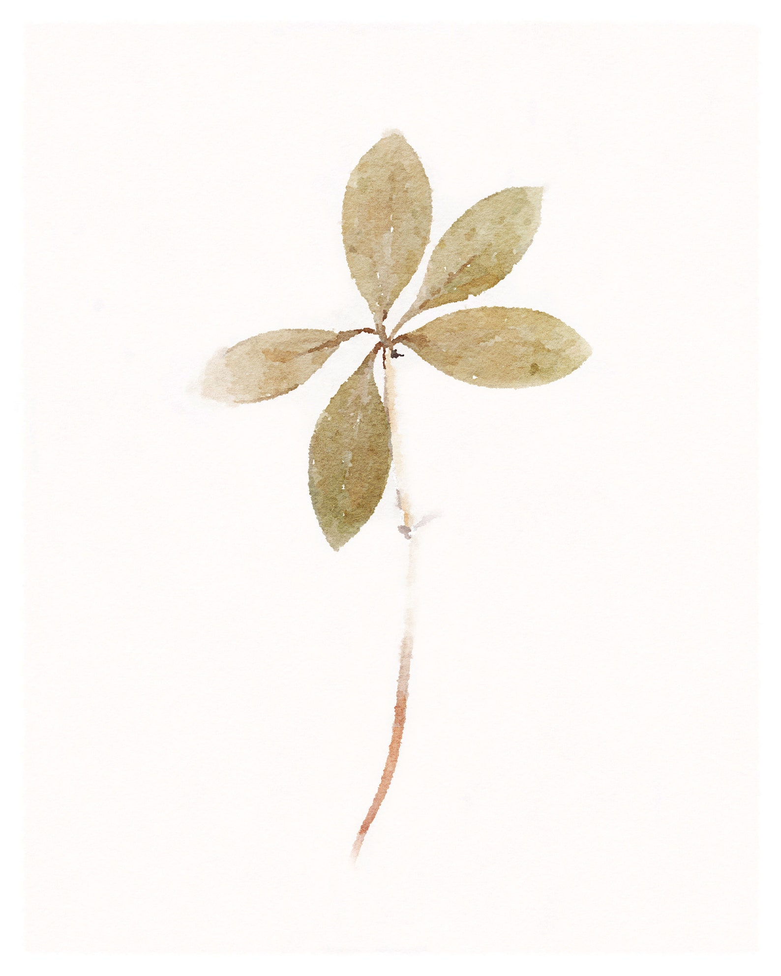 Set of 2 Neutral Botanical Prints Watercolor Wall Art Digital - Etsy