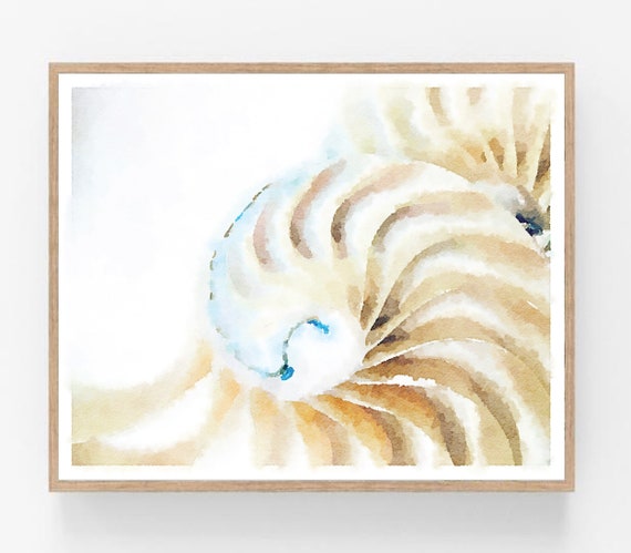 Abstract Seashell Paintings