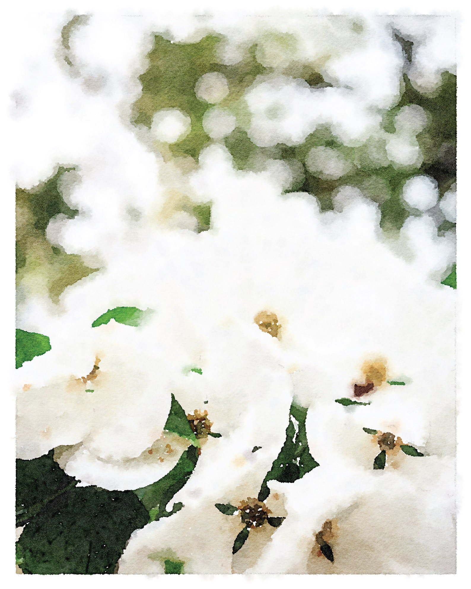 Neutral Flower Print Set of 3 Digital Download Black and | Etsy