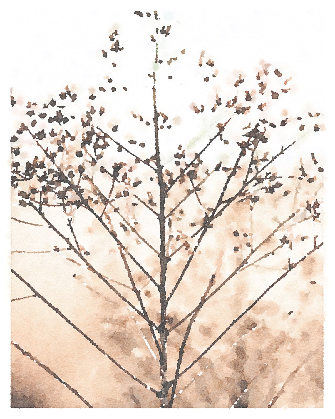 Budding Tree Branch Botanical Print Watercolor Wall Art - Etsy