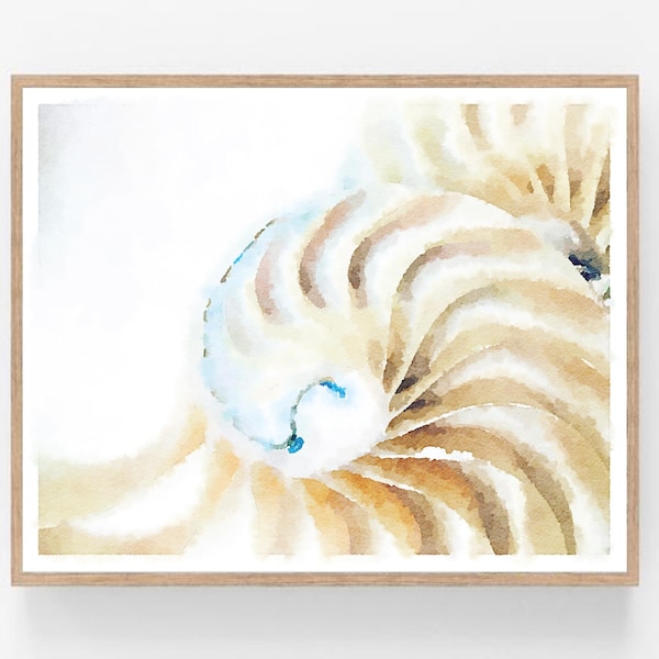 Abstract Shells - Etsy