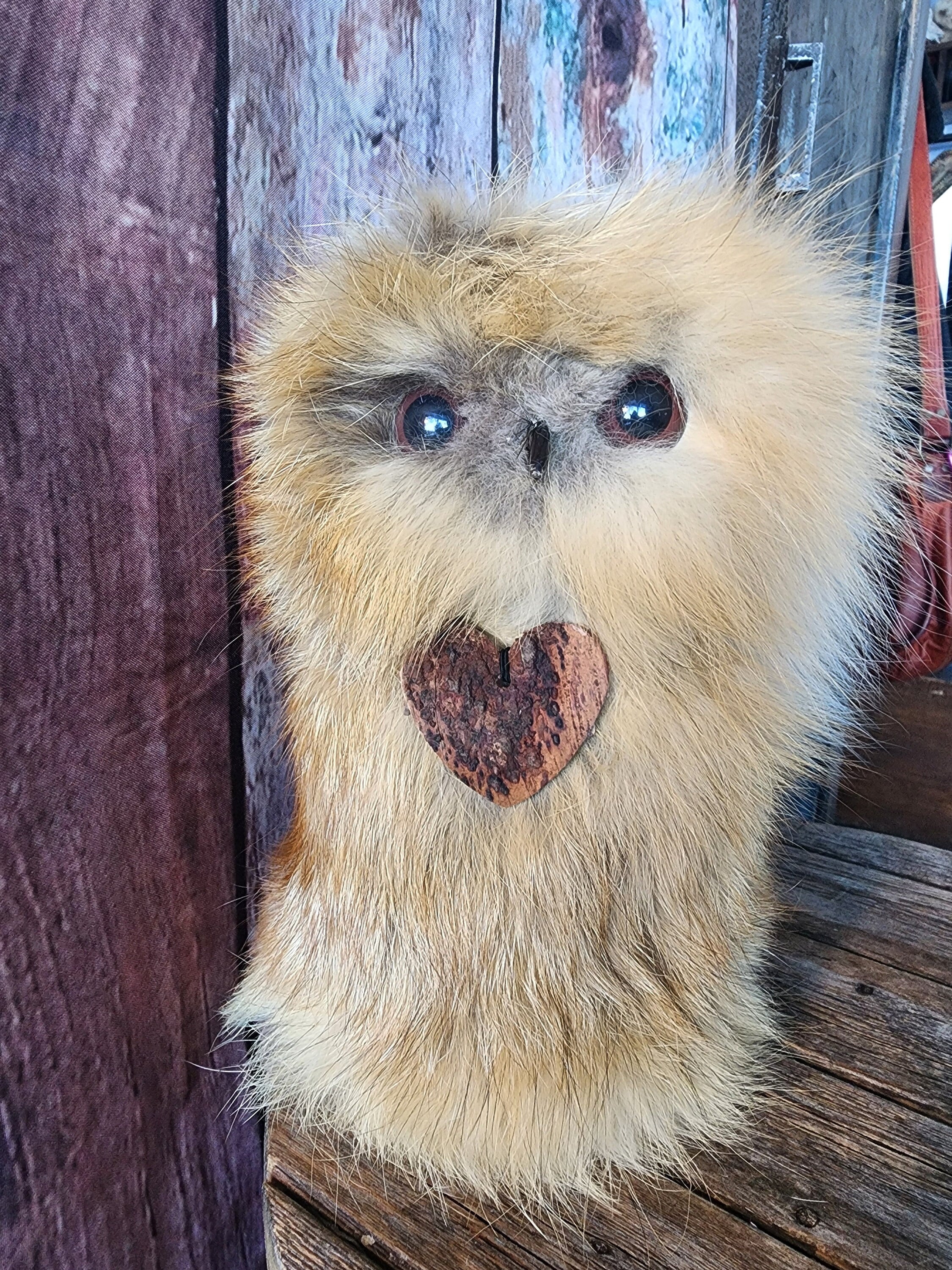 Inuit Animal Symbols