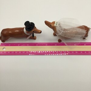 Dachshund Wedding Dogs / Weiner Dogs Dressed as Bride and Groom ...