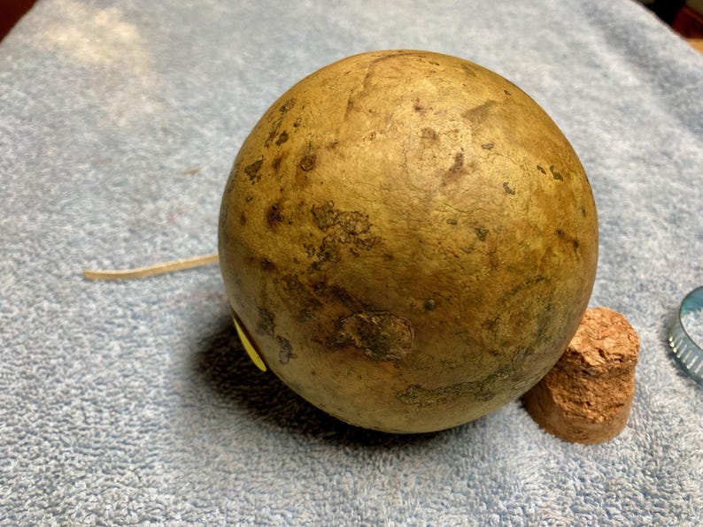 Canteen Gourd, All Natural, Stained Yellow/green Color, Holds 2.0 Cups ...
