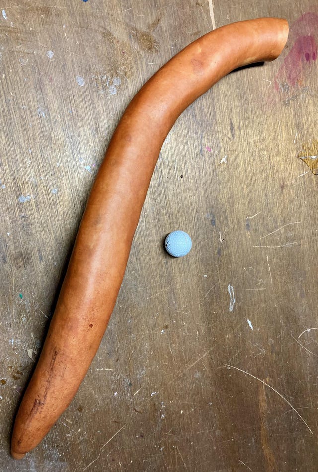 GourdworksAndMore - Etsy