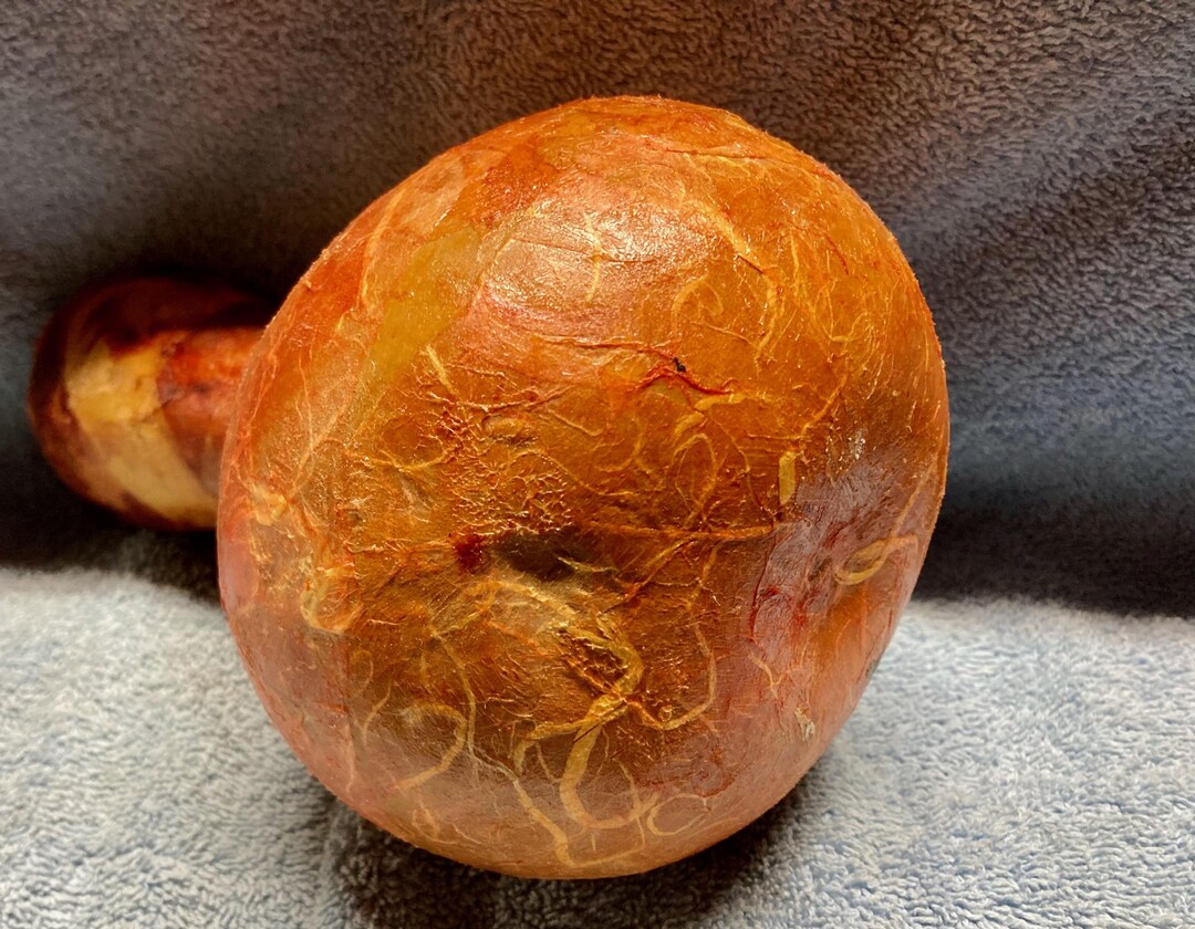 Gourd Rice Paper Vase - Etsy