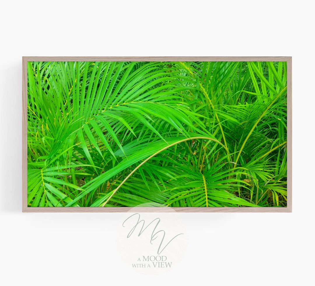 Samsung Frame TV Art, Lush Palm Fronds, Pretty Beach Art, Vacation ...