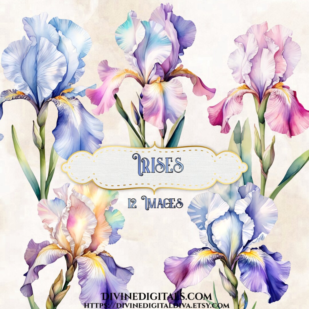 Watercolor Lush Iris Flowers Irises Cottage Shabby | Digital Clipart ...