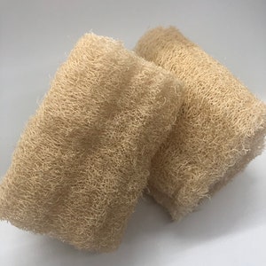 Natural Loofah - Etsy