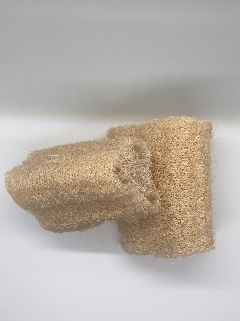 Natural Loofah - Etsy