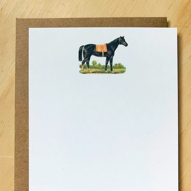 Horse Note Cards - Etsy