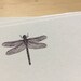 Dragonfly Stationery Set, Dragonfly Note Cards, Vintage Inspired Flat ...