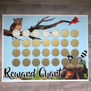 Kid Scratch off Reward Chart - Etsy
