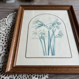 Vintage Botanical Print, Framed Floral Picture, Floral Wall Home Decor ...