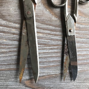 Vintage Old Metal Scissors Set of 3 Rusted Retro Mid - Etsy