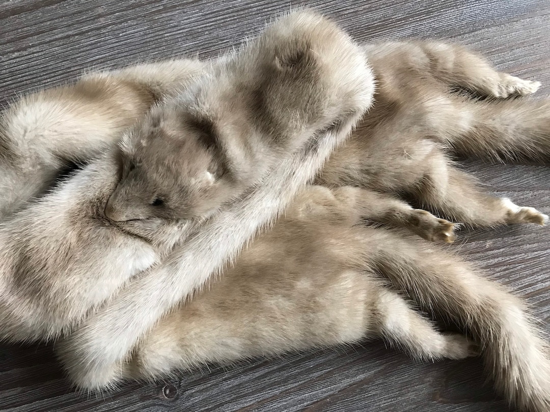 Vintage Mink Collar Scarf 1950s, Retro Fur Scarf Collar, Mid Century ...
