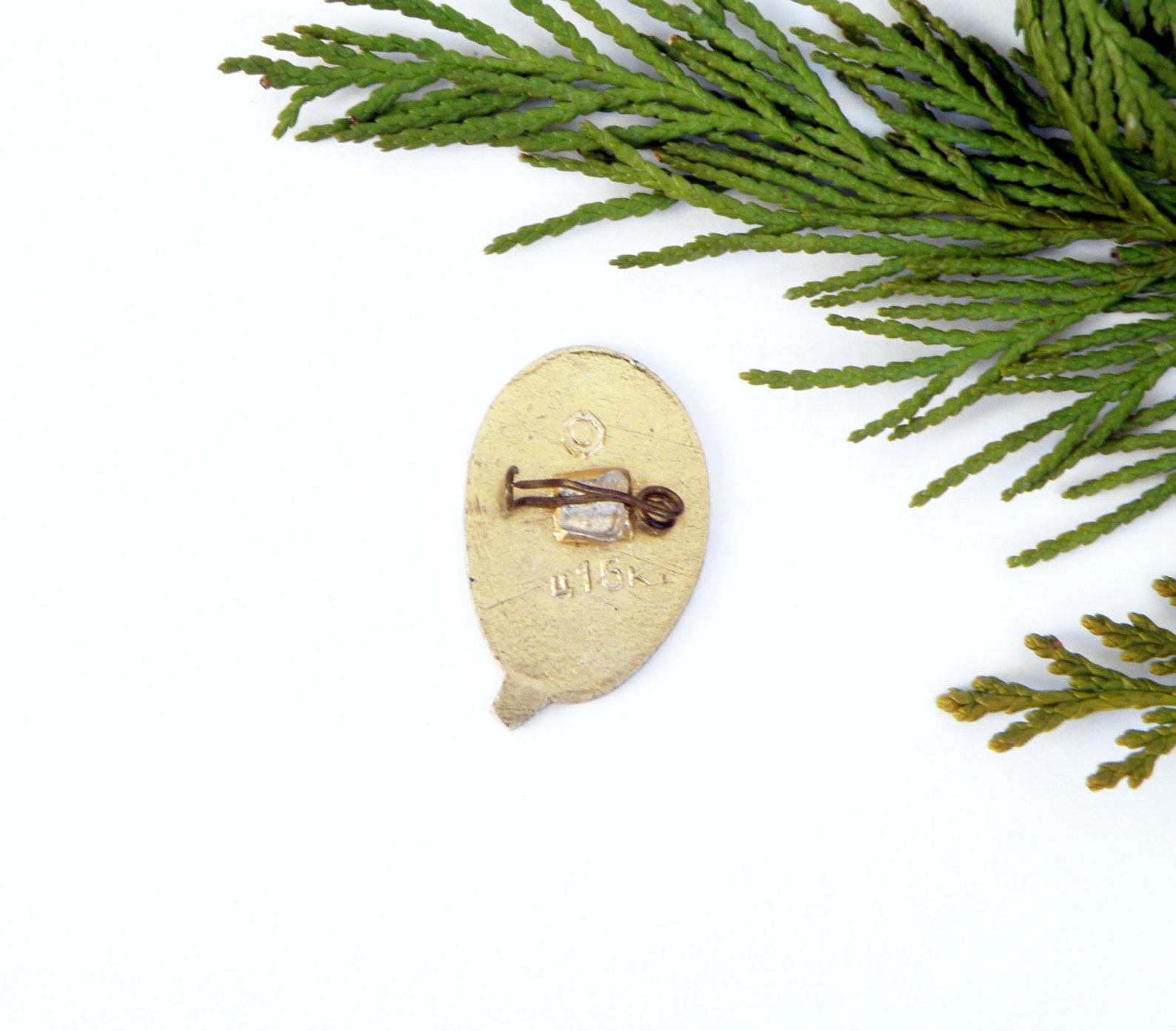 Exotic Parrot Red Green Ornithology Collectible Enamel Pin - Etsy