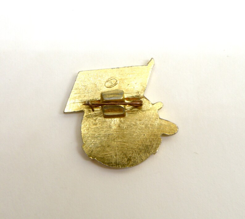 Pin Badge Sport Aircraft Modeling USSR Soviet Flag Collectible - Etsy