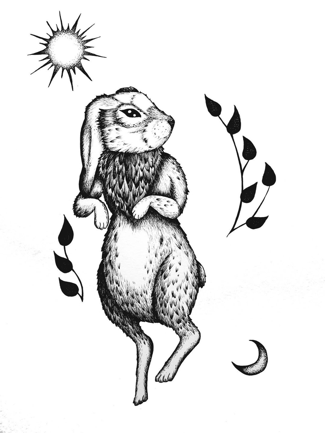 White Rabbit Ink Illustration Drawing 4x6 5x7 or 8x10 Art Print ...