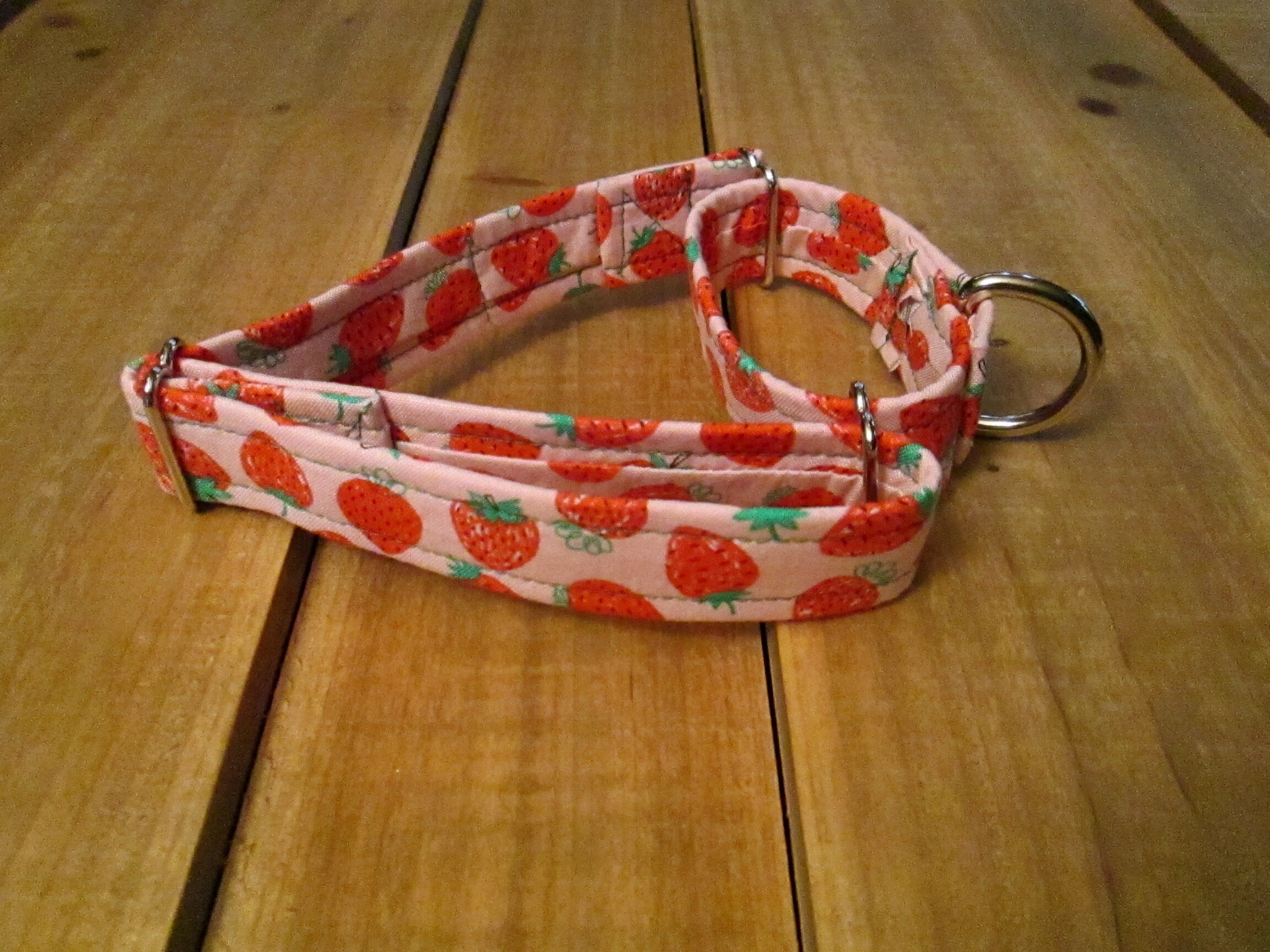 13-23 Berry Blast Martingale Collar 1 Width, Strawberry Collar, Fruit ...